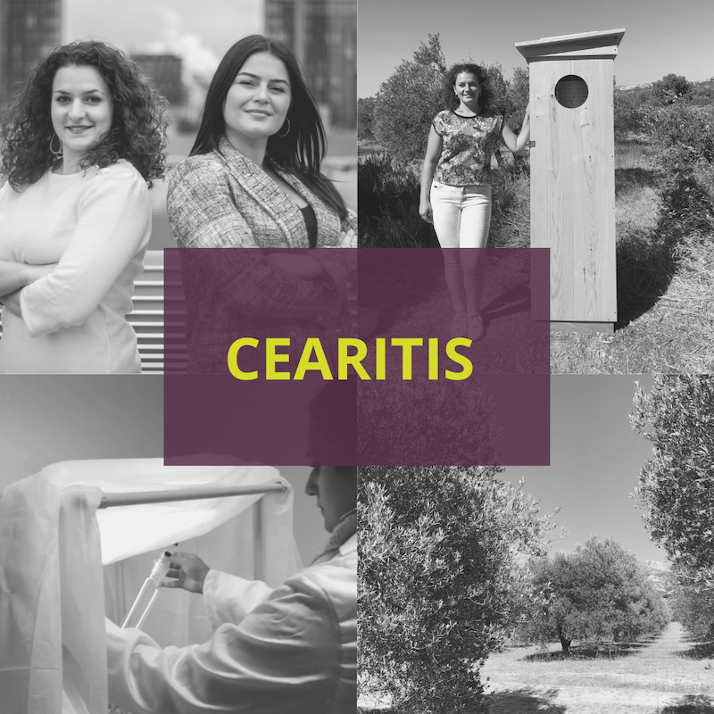 CEARITIS : levée de fonds en royalties
