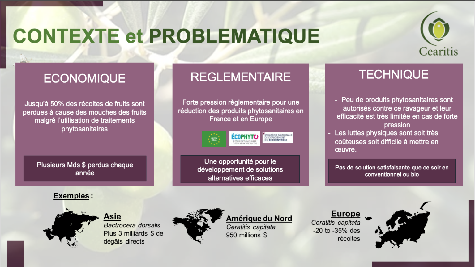 CEARITIS : levée de fonds en royalties