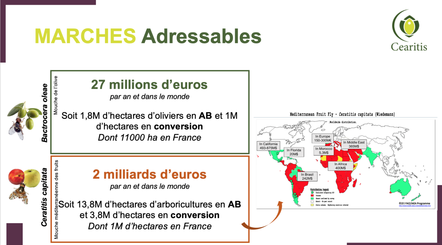 CEARITIS : levée de fonds en royalties